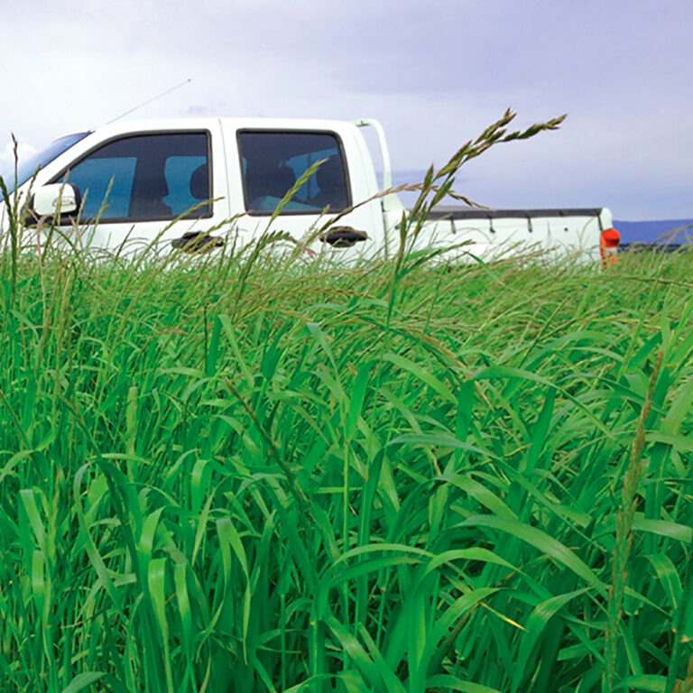 Nufarm Associate 500g - AG Warehouse