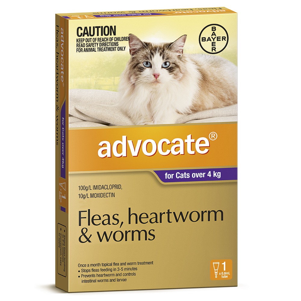 Bayer ADVOCATE® For Cats Over 4kg - AG Warehouse