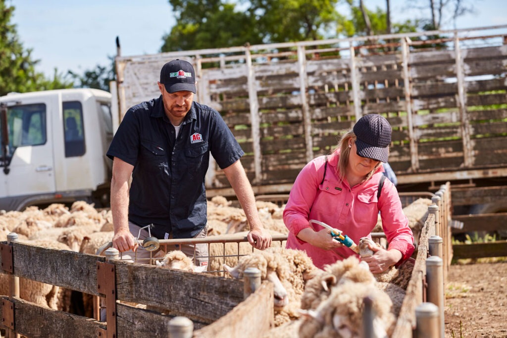 Customer Focus - AG Warehouse